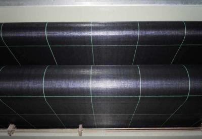 中国 園芸の地被植物の膜100gsm 7x7 15x15の網 販売のため
