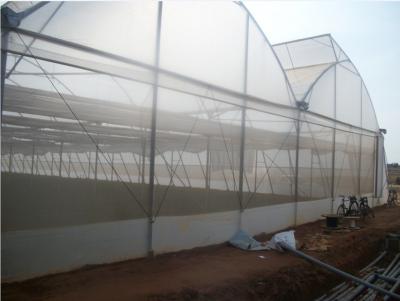 Cina film plastico orticolo 4m-10m per la serra protettiva in vendita