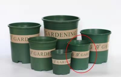 Cina Stampaggio mediante soffiatura vaso della pianta da 5 galloni, vasi di plastica della scuola materna di 90-180mm in vendita