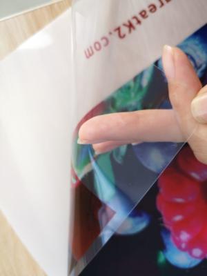 China De Vinyl Digitale Decoratieve Druk van Matte Self Adhesive Transparent Window Te koop