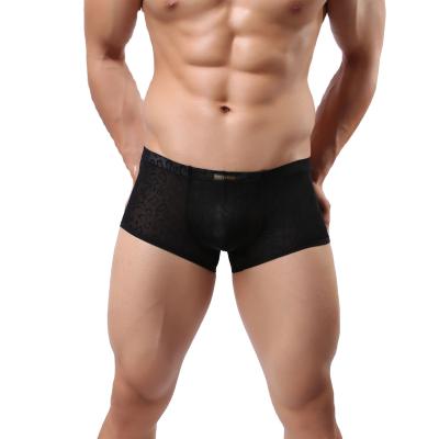 Chine Shorts respirables antistatiques de boxeur de polyester des dossiers sans couture des hommes viables à vendre