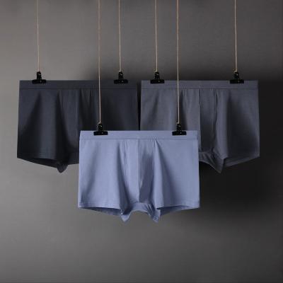 Chine Le boxeur des hommes modaux court-circuite des adultes de sous-vêtements a tricoté des shorts respirables de boxeur appropriés à vendre