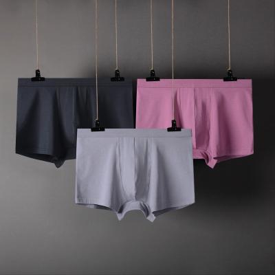 Chine Le boxeur des hommes modaux court-circuite des adultes de sous-vêtements a tricoté des shorts respirables de boxeur appropriés à vendre