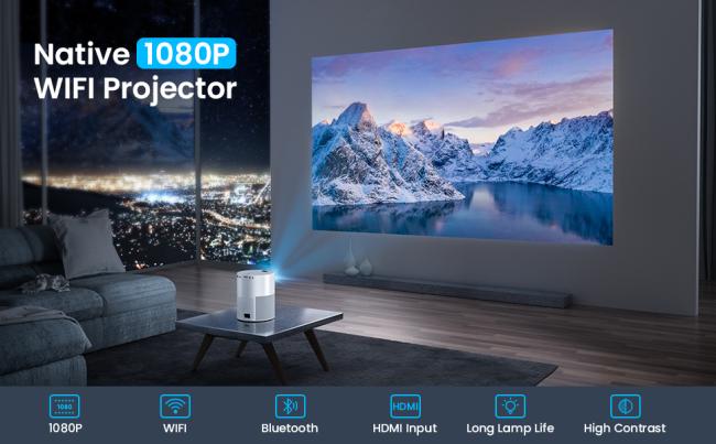 Projector durability features