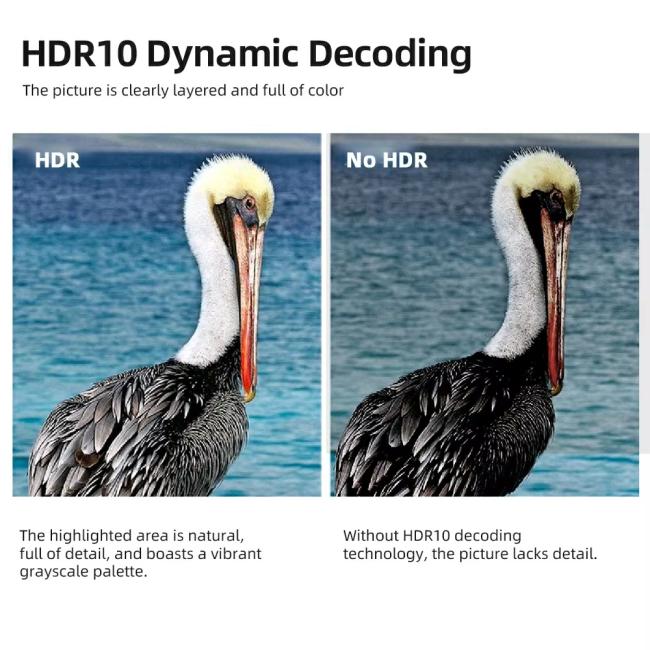 Projector showing automatic image adjustment features