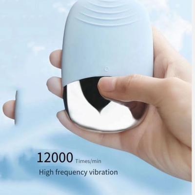 Chine Brosses électriques de nettoyage du visage en silicone ABS de qualité alimentaire pour une peau rayonnante à vendre