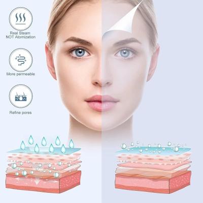 Chine 150-200ml de capacité de réservoir de vapeur de spa pour le visage pour le nettoyage en profondeur et les soins de la peau contrôlés par application à vendre