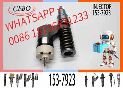 Chine Injecteur diesel du moteur C12/3176B 1537923 153-7923 0R-9595 pour le rail commun de à vendre