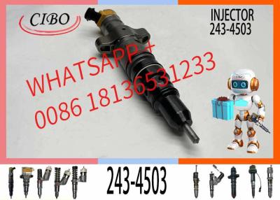 China Inyector de motor diesel 20R-8067 557-7627 243-4503 20R-9079 2OR-8071 328-2582 295-9166Para el tren común C7 en venta