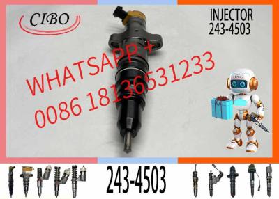 China Inyector de motor diesel 20R-8067 557-7627 243-4503 20R-9079 2OR-8071 328-2582 295-9166Para el tren común C7 en venta