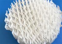 De klantgerichte Gestructureerde Verpakking van 125X Plastiek voor de Reiniging van het Staartgas