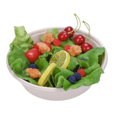 Cina Prodotti ecologici compostabili sostenibili usa e getta OEM Ciotola di canna da zucchero da 32 once in vendita