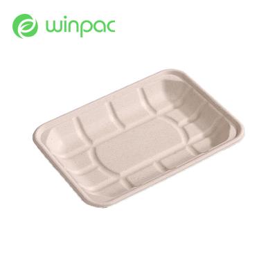 Cina Paper Fruit 8in Bagasse Vassoio di canna da zucchero Polpa Eco Biodegradabile Sostenibile in vendita