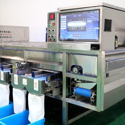 중국 1500kg 용량 380V 피스타치오 견과류 분류 기계 판매용