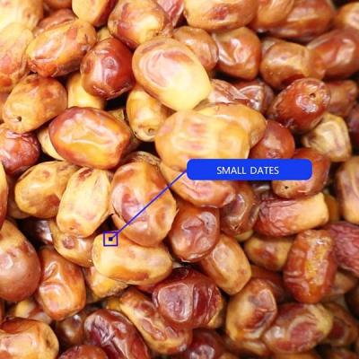Κίνα Υψηλή ακρίβεια κατάταξης 98% Μηχανή κατάταξης χοιροειδών 6 λωρίδων με πιστοποίηση CE MD ISO9001 προς πώληση