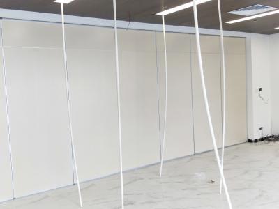 중국 방 분할을 위한 방음 미끄러지는 움직일 수 있는 나무로 되는 청각적인 칸막이벽 판매용