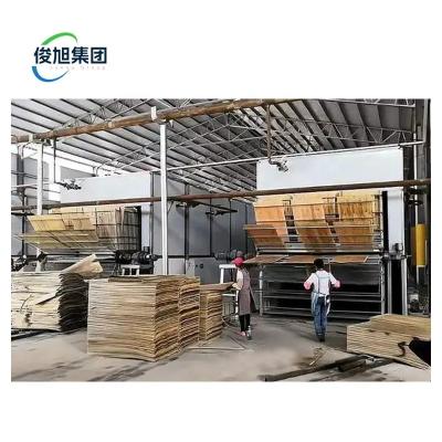 China Aanpasbare houten hoogwaardige fineer droogmachine Te koop