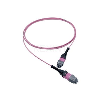 중국 KEXINT FTTH MTP 프로 OM4 12 핵심 섬유 광 패치 코드 2M B형 행동 양식 판매용