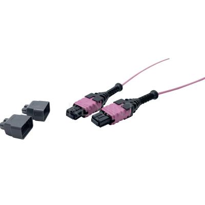 중국 KEXINT FTTH MTP 프로 OM4 12 핵심 섬유 광 패치 코드 2M B형 행동 양식 판매용