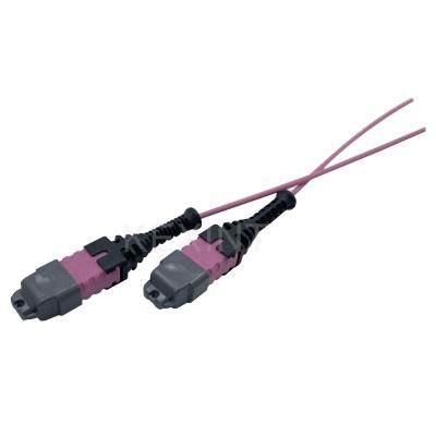 중국 KEXINT FTTH MTP 프로 OM4 12 핵심 섬유 광 패치 코드 2M B형 행동 양식 판매용