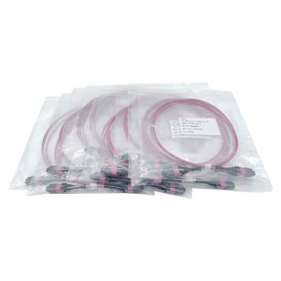 중국 KEXINT FTTH MTP 프로 OM4 12 핵심 섬유 광 패치 코드 2M B형 행동 양식 판매용