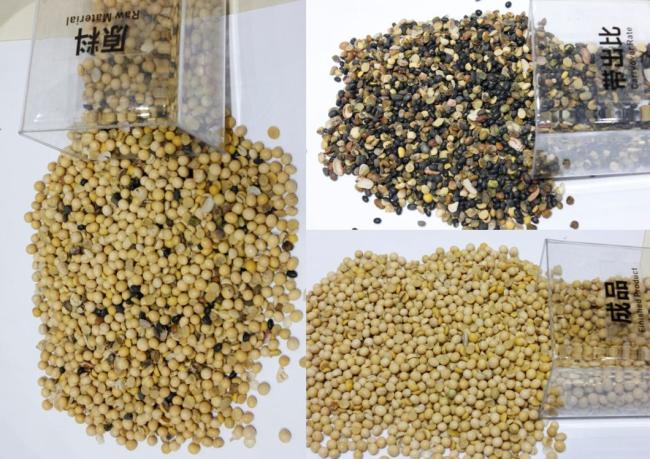 Good Service High Precision Oats Color Sorter Melon Seed Sorting-Machine Optical Sortex