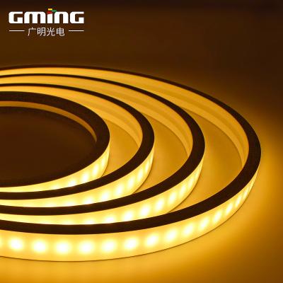 Cina Striscia doppia della luce morbida di temperatura del colore 2835/5050/3838 del silicone della metropolitana della luce colore al neon della striscia 5*13MM di singolo in vendita