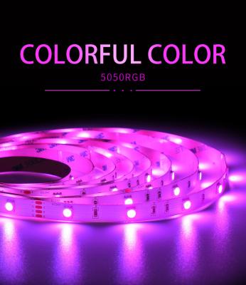 Cina Luce al neon dell'atmosfera della decorazione domestica flessibile della striscia di colore pieno 5050 SMD RGB LED in vendita