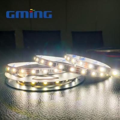 Cina Lampada monocromatica dell'acqua corrente della luce di striscia di bassa tensione 12V 24V SMD 5050 LED con la tenda foranea in vendita