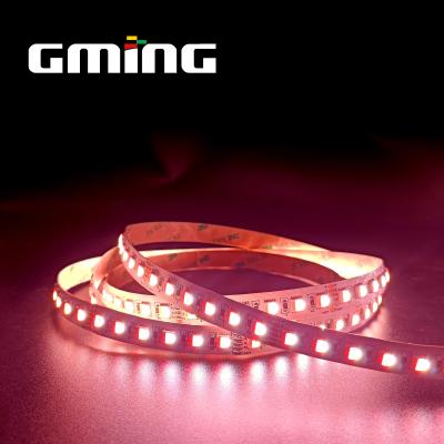 Cina Striscia LED SMD 5050 RGB con telecomando Strisce LED flessibili SMD colorate in vendita