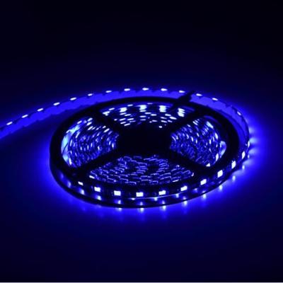 China Streifen-Licht 5050 120º Bean Engels-SMD RGB LED 3528 IP20/IP65 3 Jahre Garantie- zu verkaufen