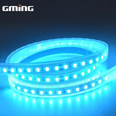 China 120º Strahl IP68 12W 60LEDs/m 460nm SMD führte Neonbeleuchtung zu verkaufen