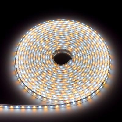 China Wasserdichtes Streifen-Licht IP65 630nm 12W 60leds/m SMD RGB LED zu verkaufen