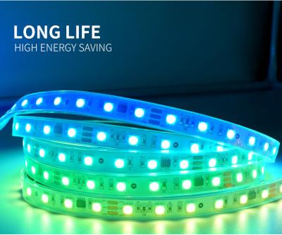 Cina Luce di striscia magica telecomandata di 1903IC IP68 12W LED in vendita