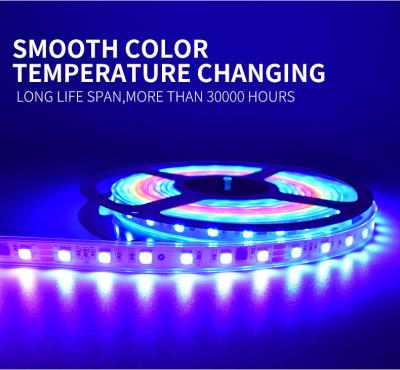 Cina luce di striscia flessibile di 12W DC24V 5M 300Leds 14x26mm LED in vendita
