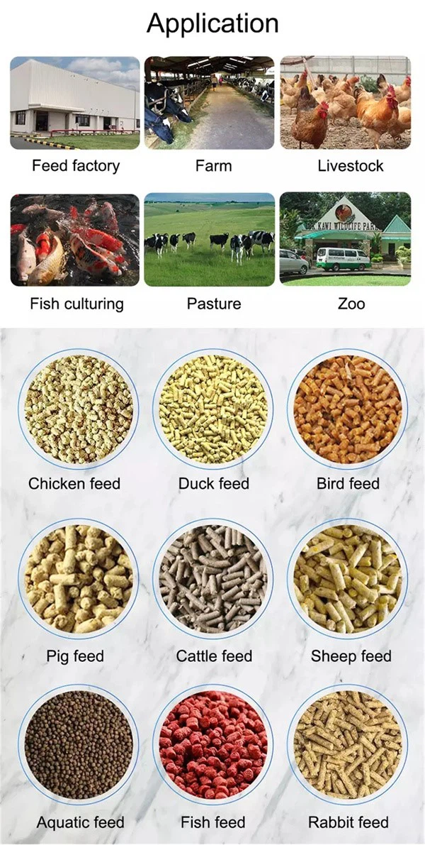 Automated Feed Production Line Equipment