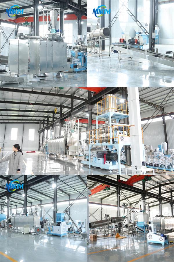 Complete production line equipment layout