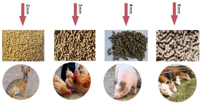 feed pellet machine