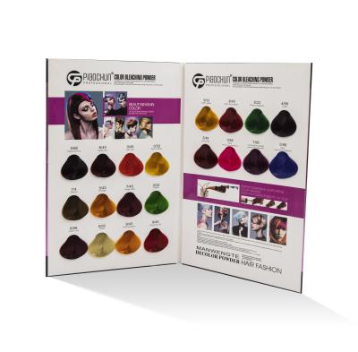 Long Lasting Permanent Hair Color Powder 20 Colors Hair Makeup Powder Non Toxic