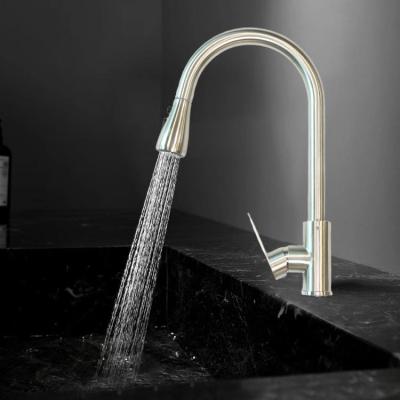 중국 Single Handle Stainless Steel Water Tap Taps Pull Out Sink Basin Mixer Filter Faucet 판매용