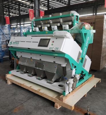 Cina Canali della macchina 256 del selezionatore di colore del riso di nuova tecnologia in vendita