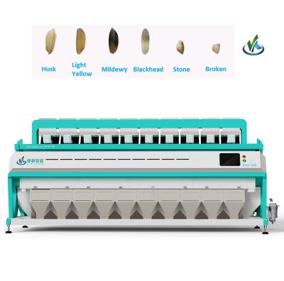 China Rijst/maïs/maïs sorteermachine/korrelkleur sorteermachine 8 - 16T/h Te koop