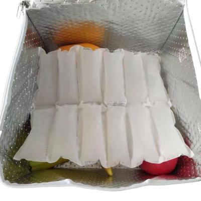 Cina Confezioni refrigeranti riutilizzabili per la spedizione ghiaccio secco per la spedizione alimentare frigorifero a coperte di ghiaccio flessibile in vendita