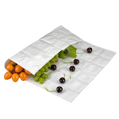 Cina Dimensioni personalizzate PE Nonwoven Assorbente Cool Pack Gel Re-Congelabile Secco Ice Sheet Per Alimenti in vendita
