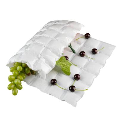 Cina piccole confezioni di ghiaccio secco per trasporto Gel di raffreddamento Pesce fresco Carne di pesce Frutti di mare durante il trasporto aereo in vendita