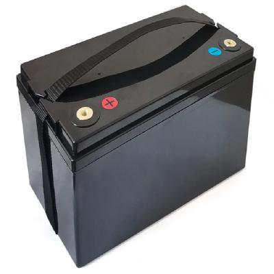 Cina potere di sostegno delle cellule di batteria al litio di 24v 12v 100AH LiFePO4 in vendita