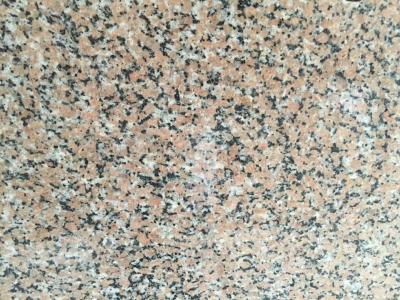 Cina Camera decorativa 24 da 24 materiali bassi della pietra di radiazione delle mattonelle del granito in vendita