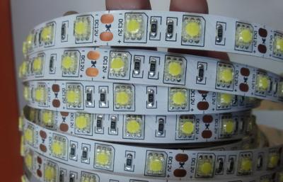 Cina 14.4w luminoso il Rgb trasparente 5050 ha condotto la larghezza delle lampade fluorescenti 10mm in vendita