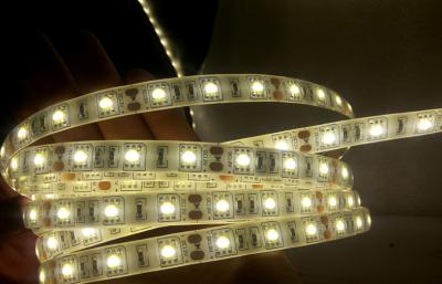 Cina Luce di striscia di bassa tensione SMD LED di sicurezza 12v fuori con 3 chip in vendita