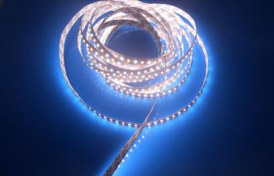 Cina 10mm 120leds Ww + Cw SMD ha condotto la luce di striscia con telecomandato in vendita